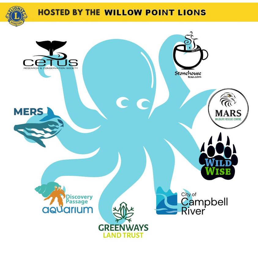 Welcome – Carys Owen Poetry